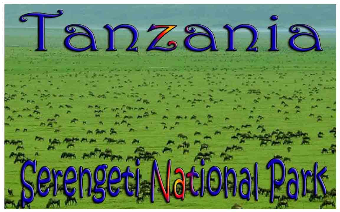 Serengeti National Park visit with local experienced tour operator n guide