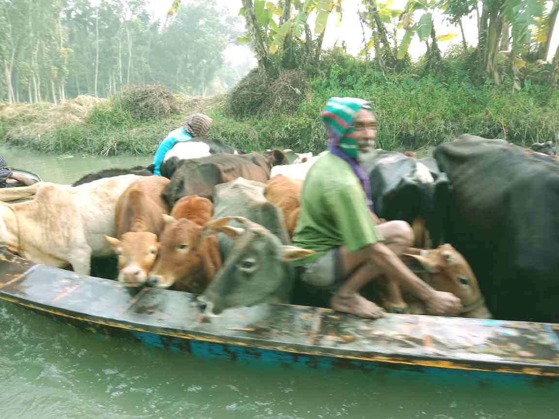 Barisal one day tour to floating market with local guide or operator
